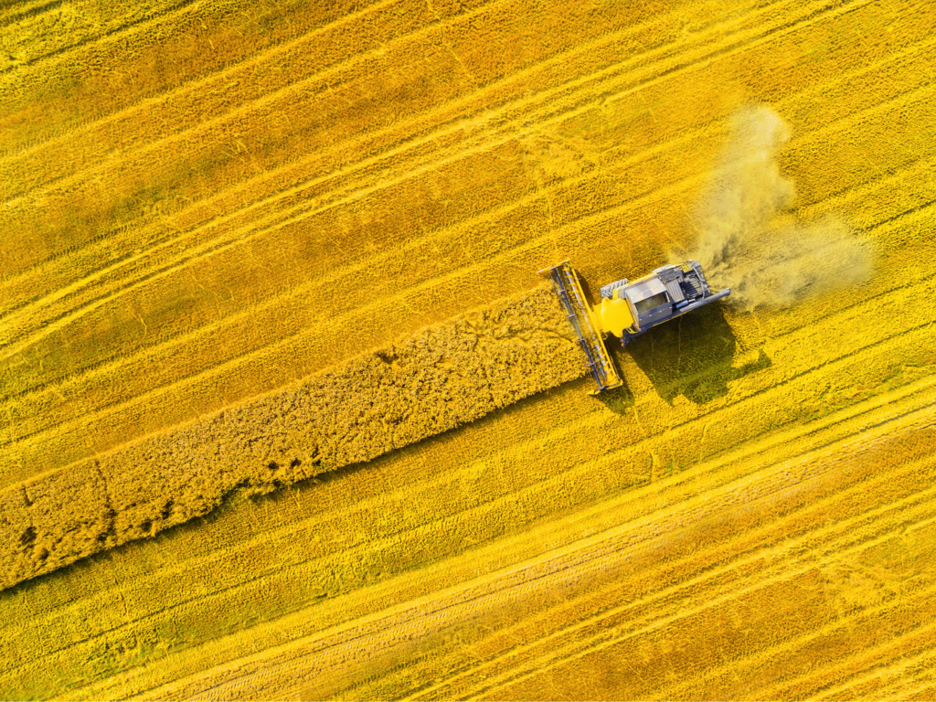 El Niño and Agriculture: Weather Shocks, Supply Risk and Market Pricing